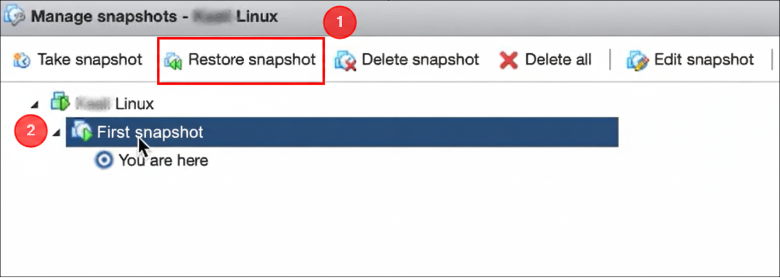 All to Know about VMware Snapshot Technology: IT Admin's Guide